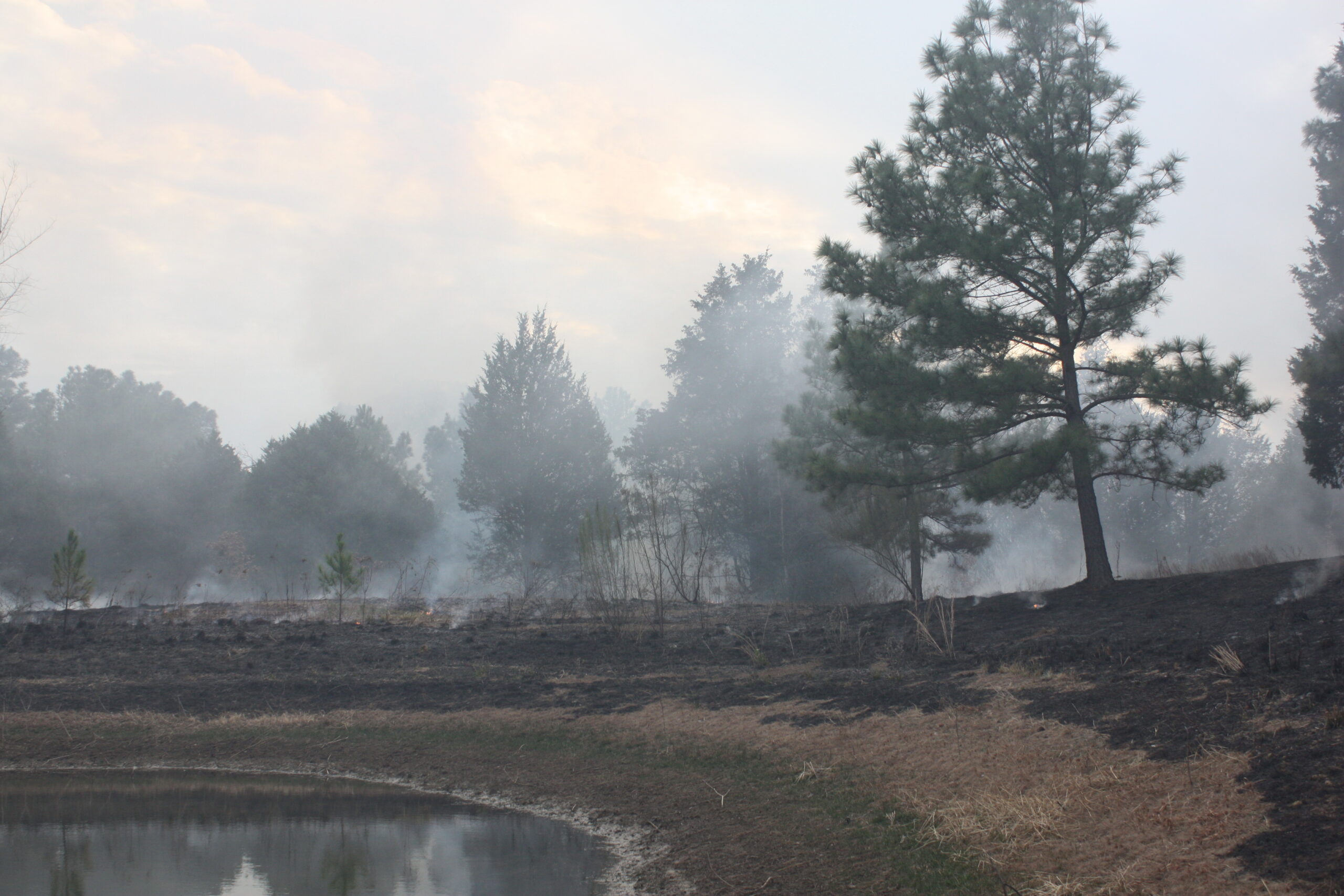 Gallery – South Central Texas Prescribed Burn Association