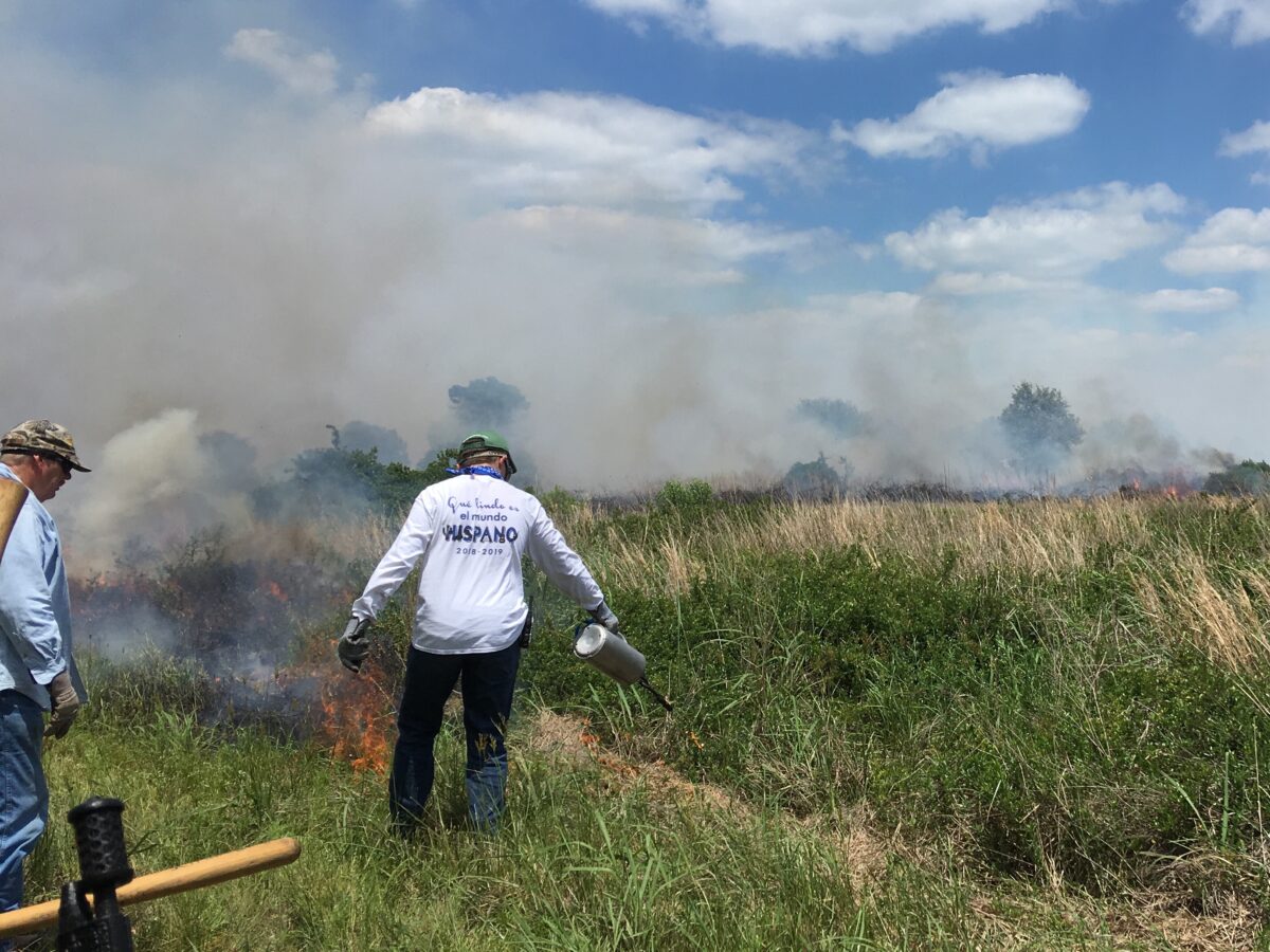 Gallery – South Central Texas Prescribed Burn Association